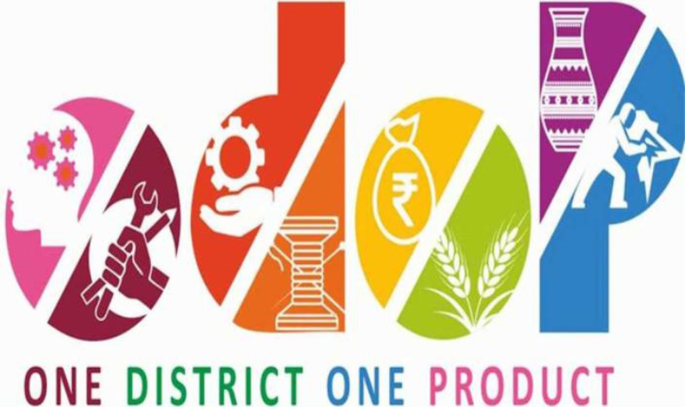 What Is One District One Product 
